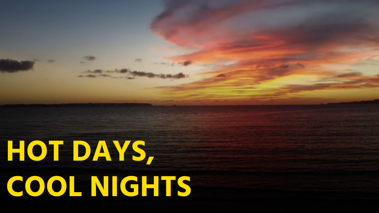 Goa 365 - Goa English News Channel | Goa News in English |Latest News ...